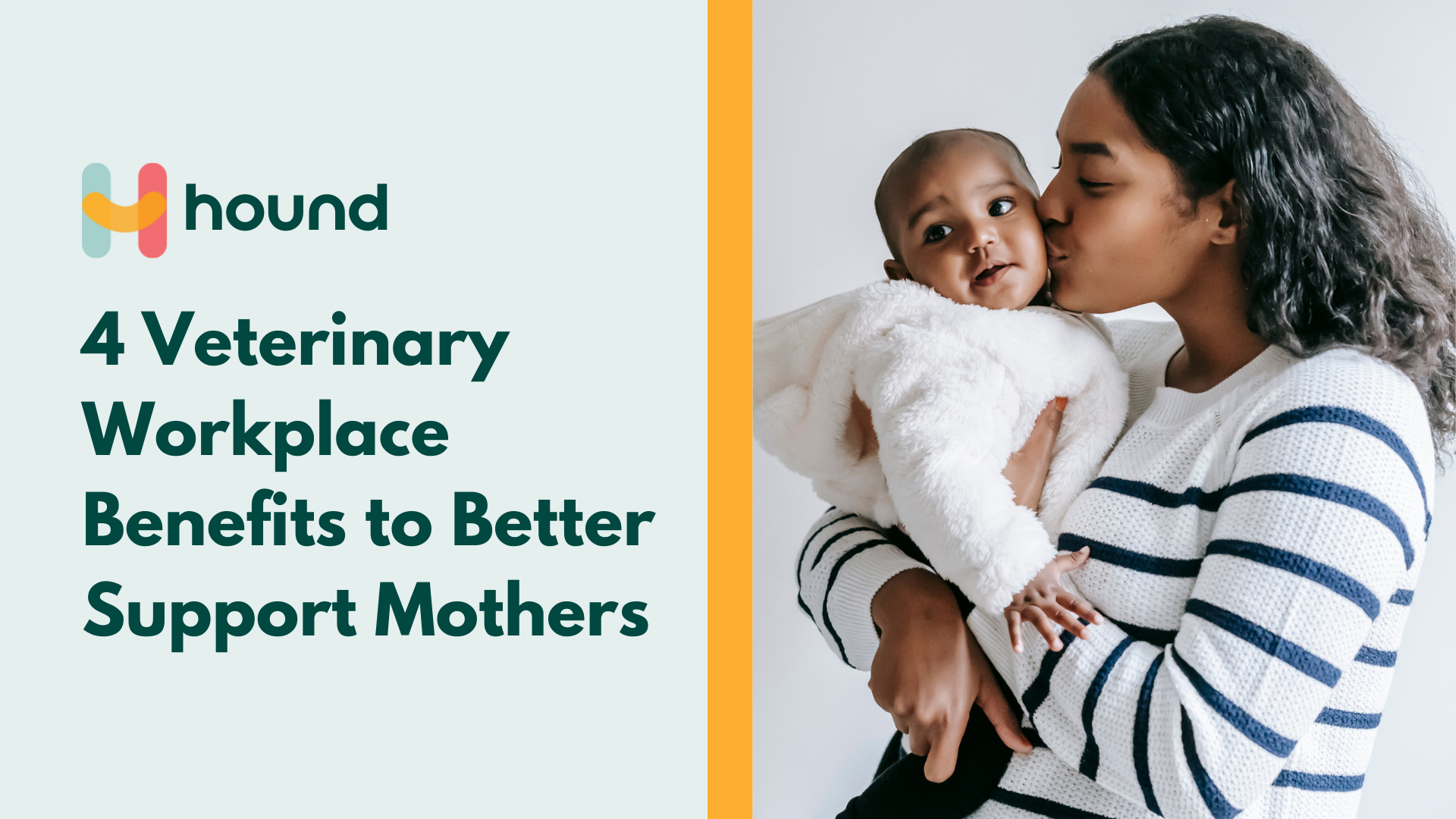 4 Veterinary Workplace Benefits to Better Support Mothers | hound